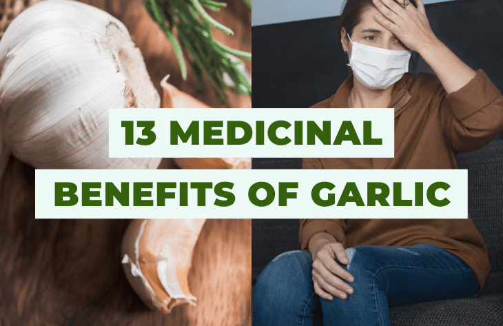 13 Medicinal Benefits Of Garlic - The Planttube DIP Outsource Solutions