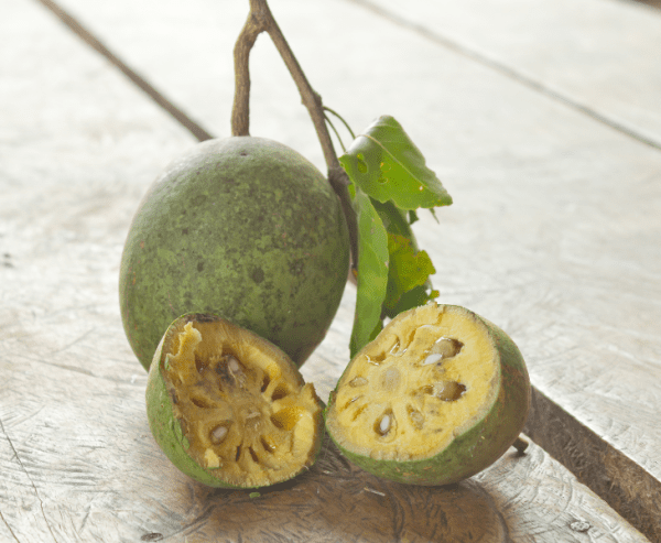 Bael Tree: A Sacred Symbol with Remarkable Health Benefits - The PlantTube