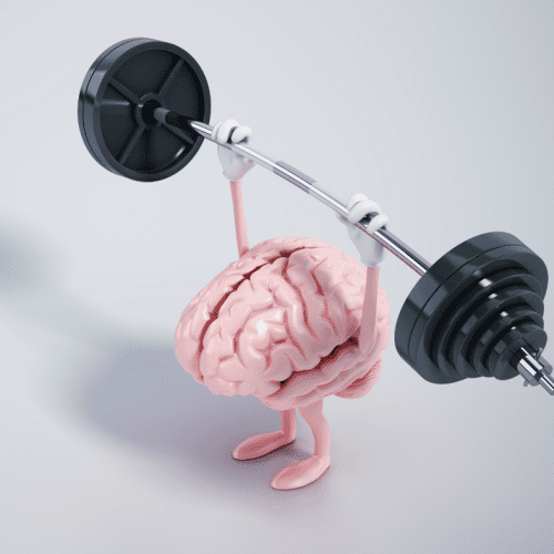 Intellect Tree: The Best To Improve Cognitive Function? - The PlantTube