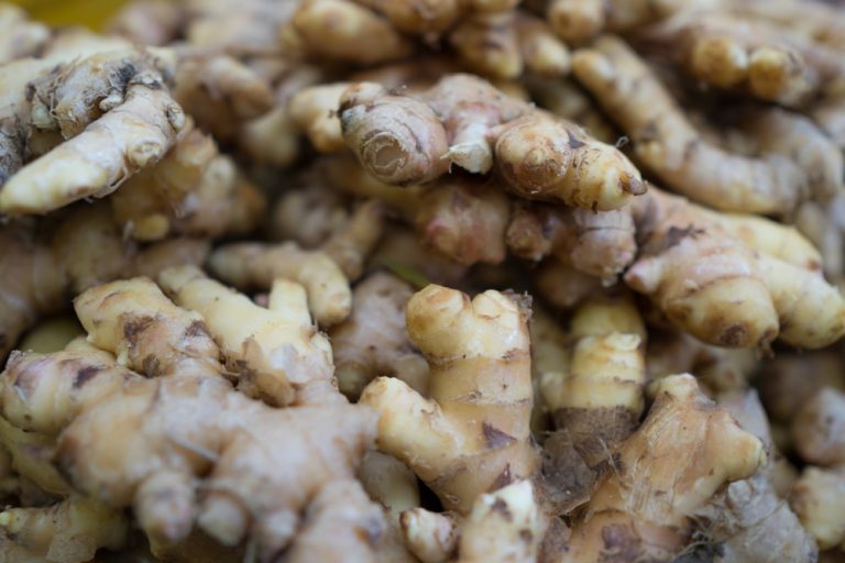 How to Grow Ginger: A Simple Guide to the Beginners