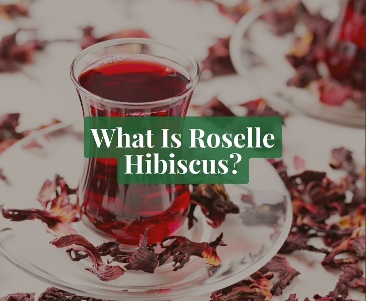 Roselle Hibiscus: Ultimate Superfood for Health & Healing